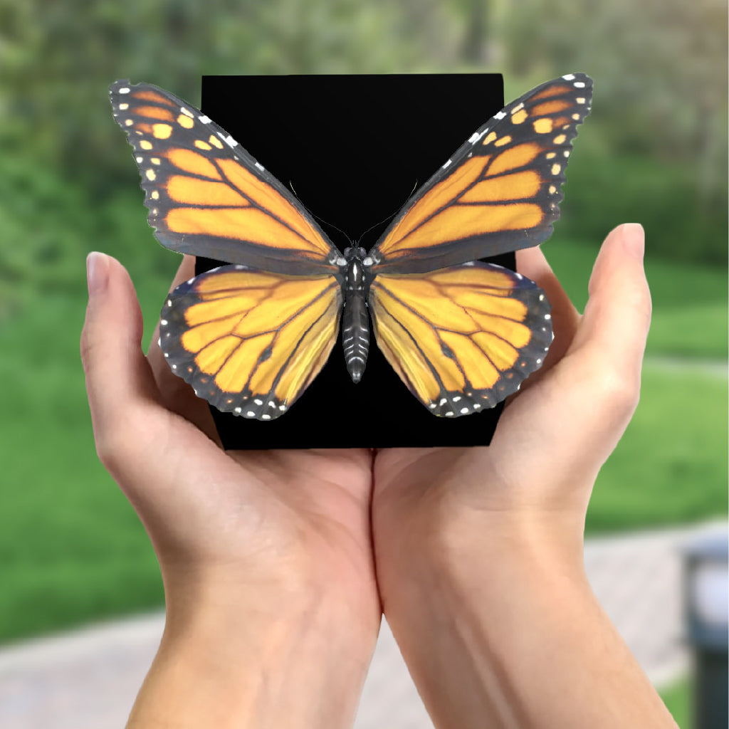 Merge Cube with 1-Year License | Merge EDU